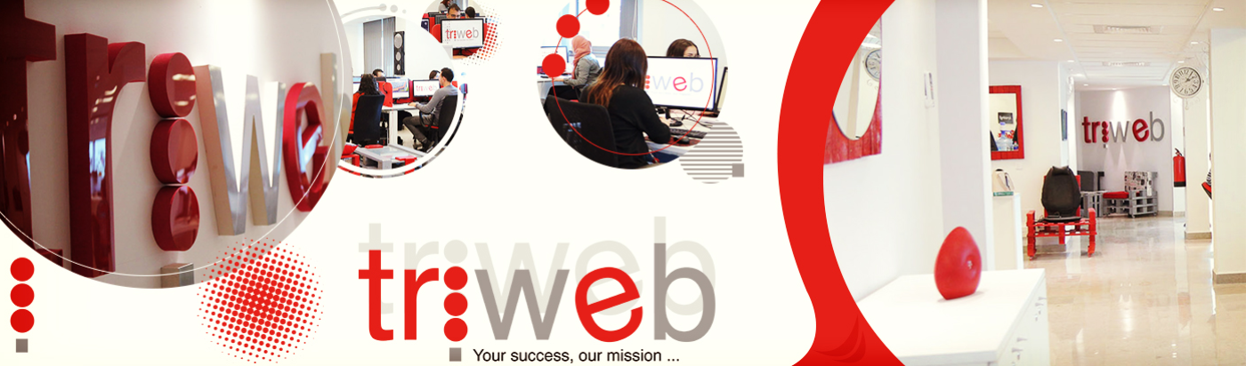 Web-designer | Triweb